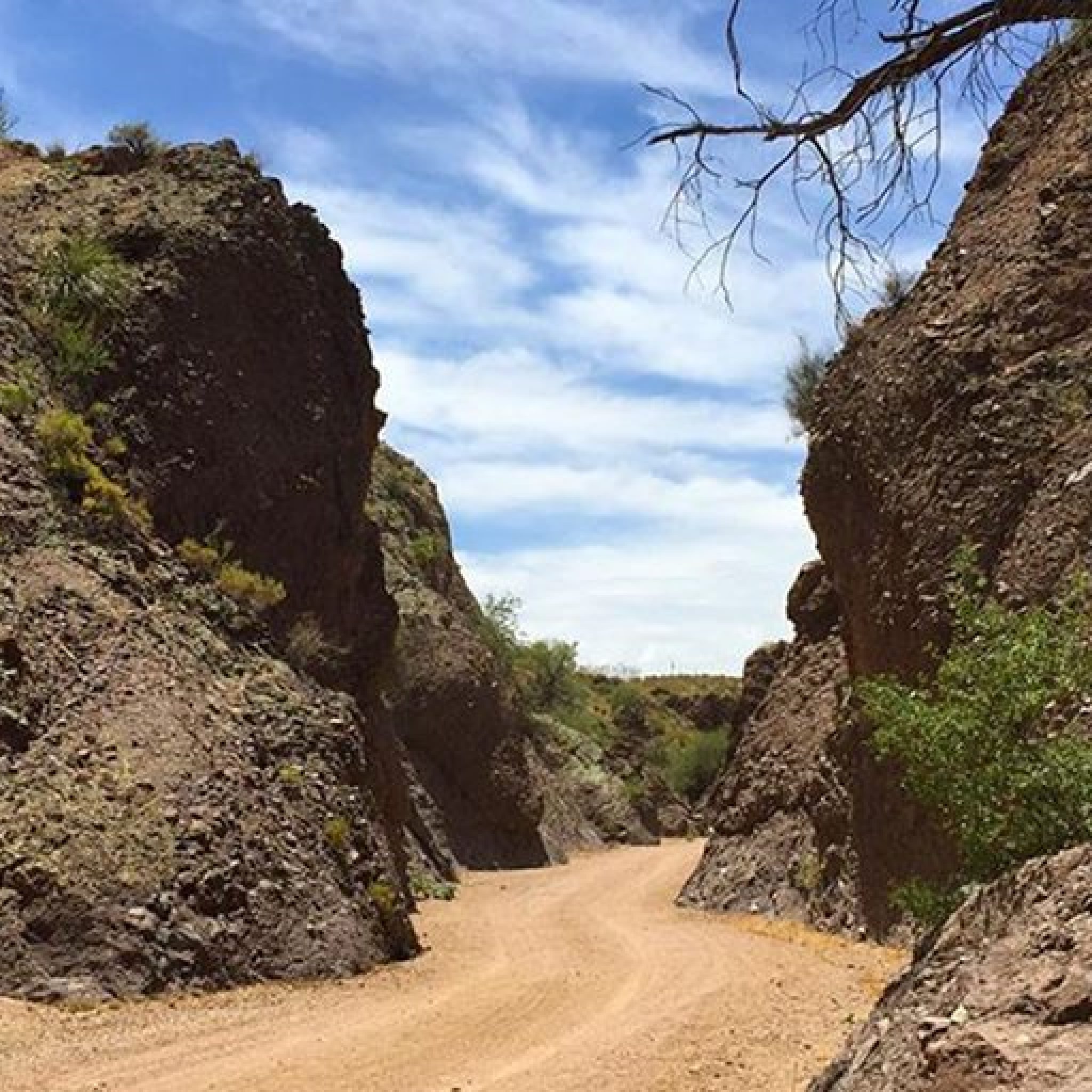 Defensive Driving Mammoth Arizona FT TW